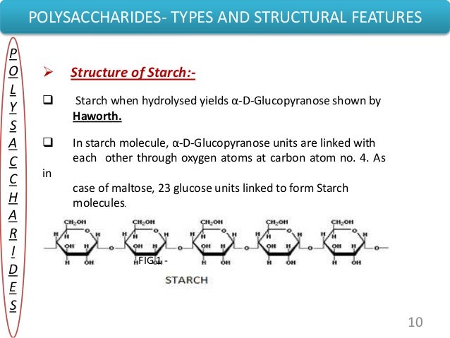 Polysaccharides Types And Structural Features