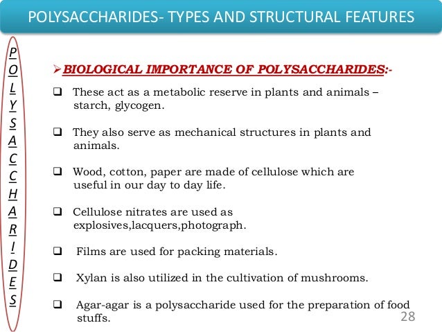 Polysaccharides Types And Structural Features