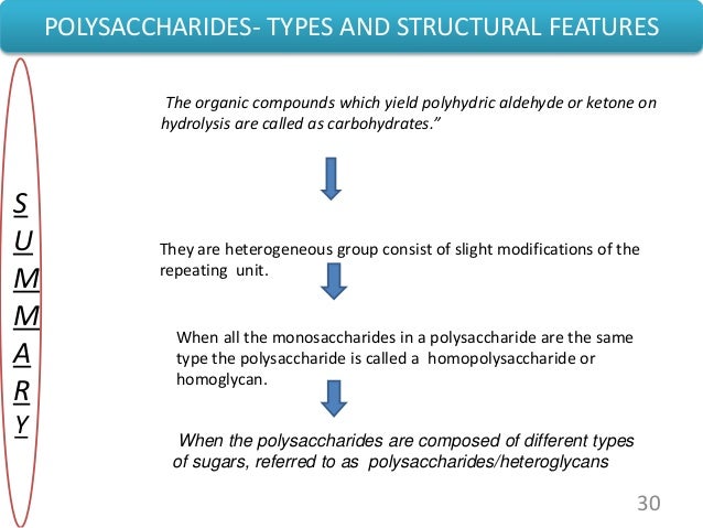 Polysaccharides Types And Structural Features
