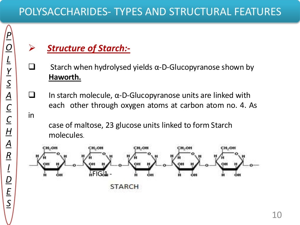 Polysaccharides Definition