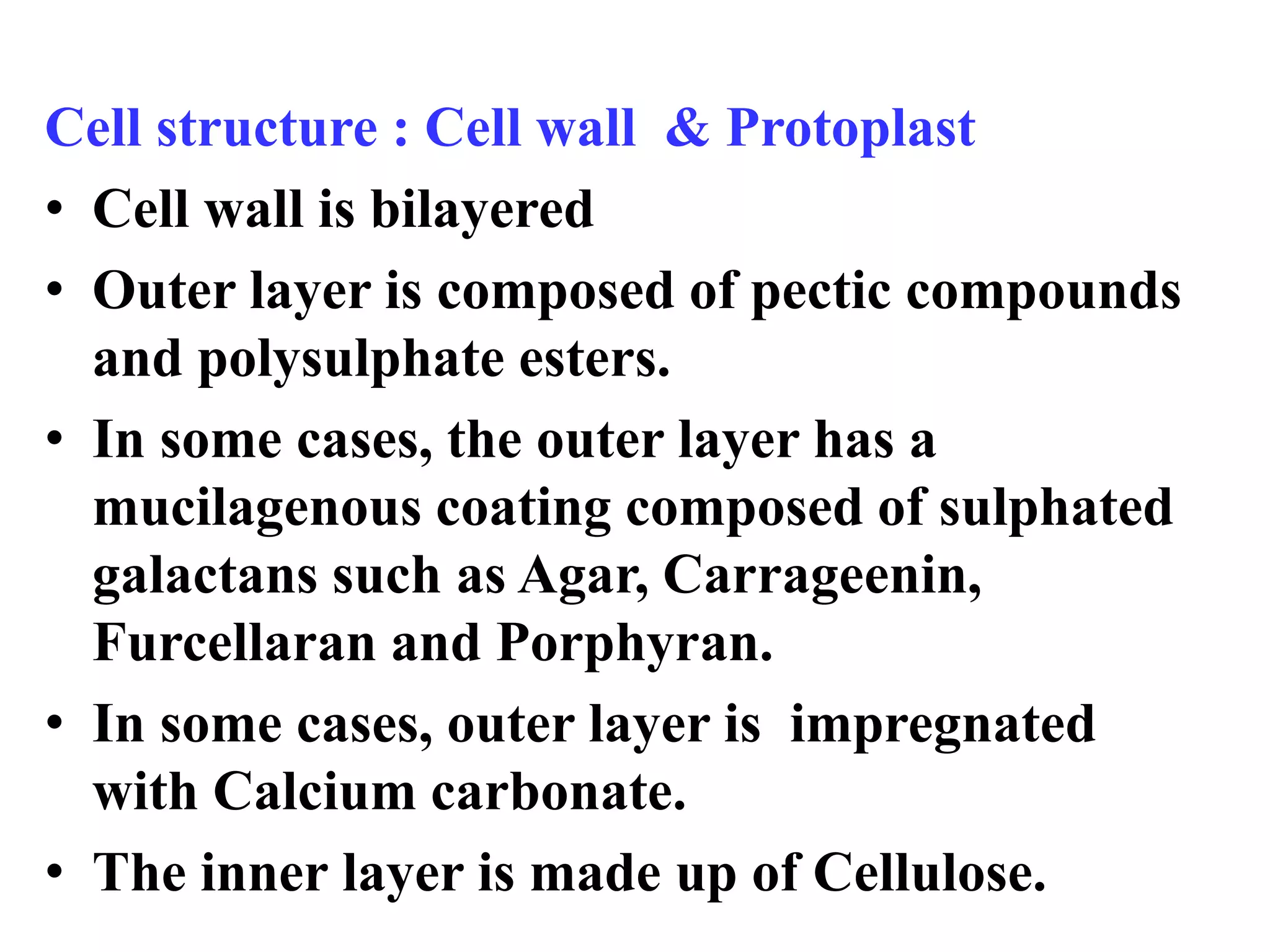 General Characters of Rhodophyceae & Life Cycle of Polysiphonia SMG | PPTX