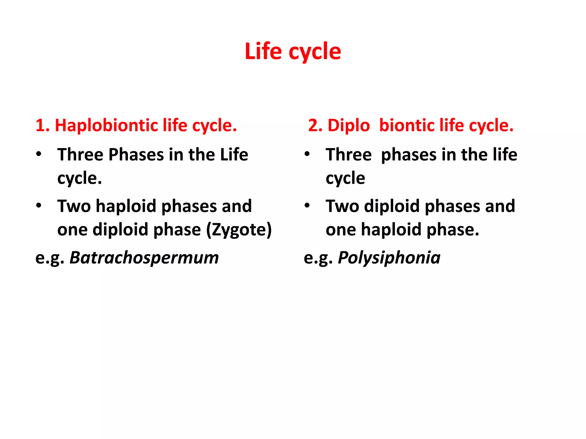 General Characters of Rhodophyceae & Life Cycle of Polysiphonia SMG | PPTX