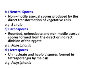 Life Cycle Of Polysiphonia Rhodophyta Red Algae