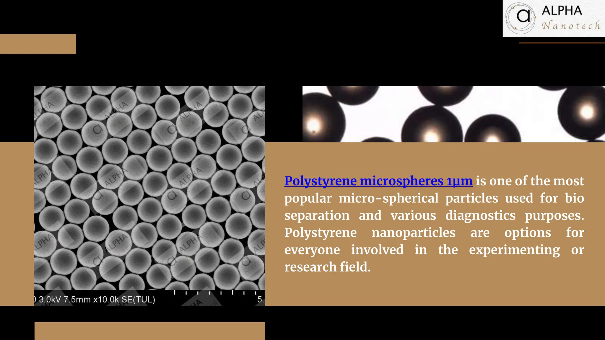 Polystyrene Microspheres 1μm.pptx