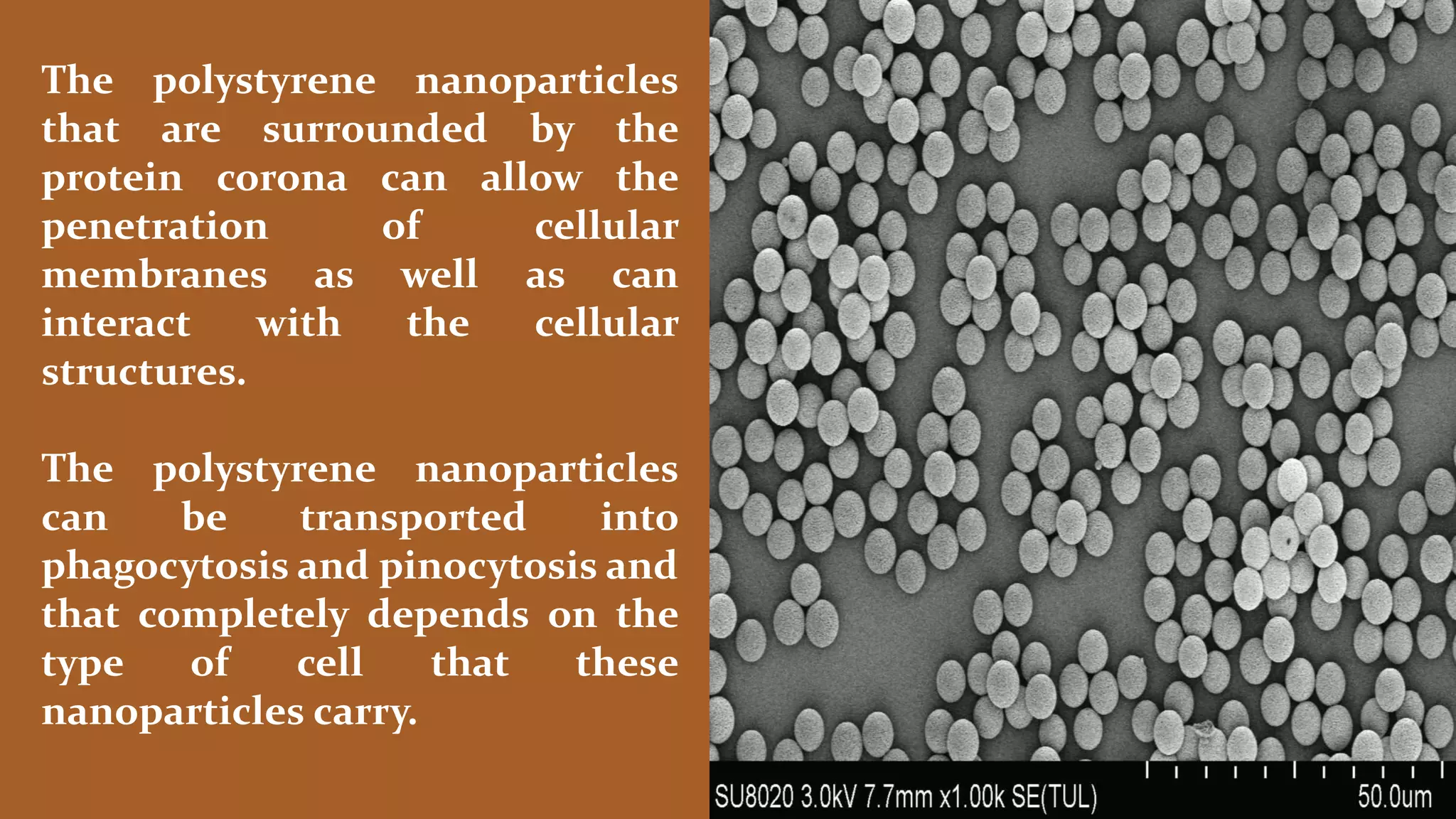 Polystyrene Nanoparticles.pptx | Chemistry | Science