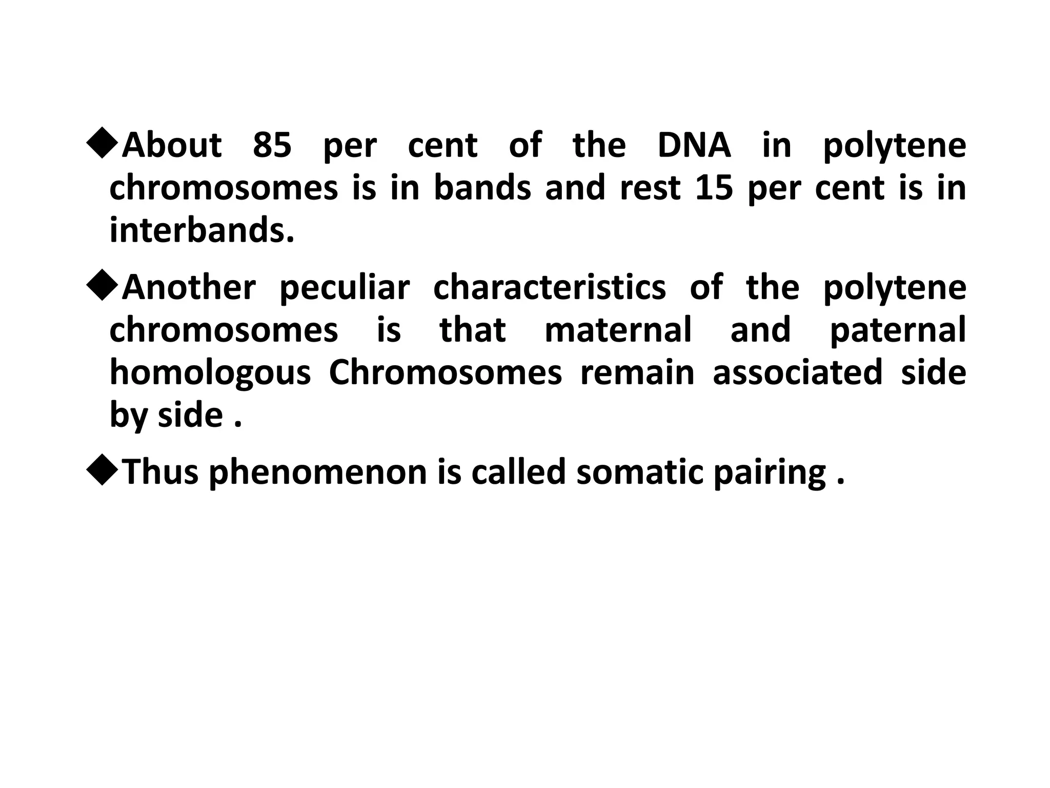 Polytene chromosomes | PPTX