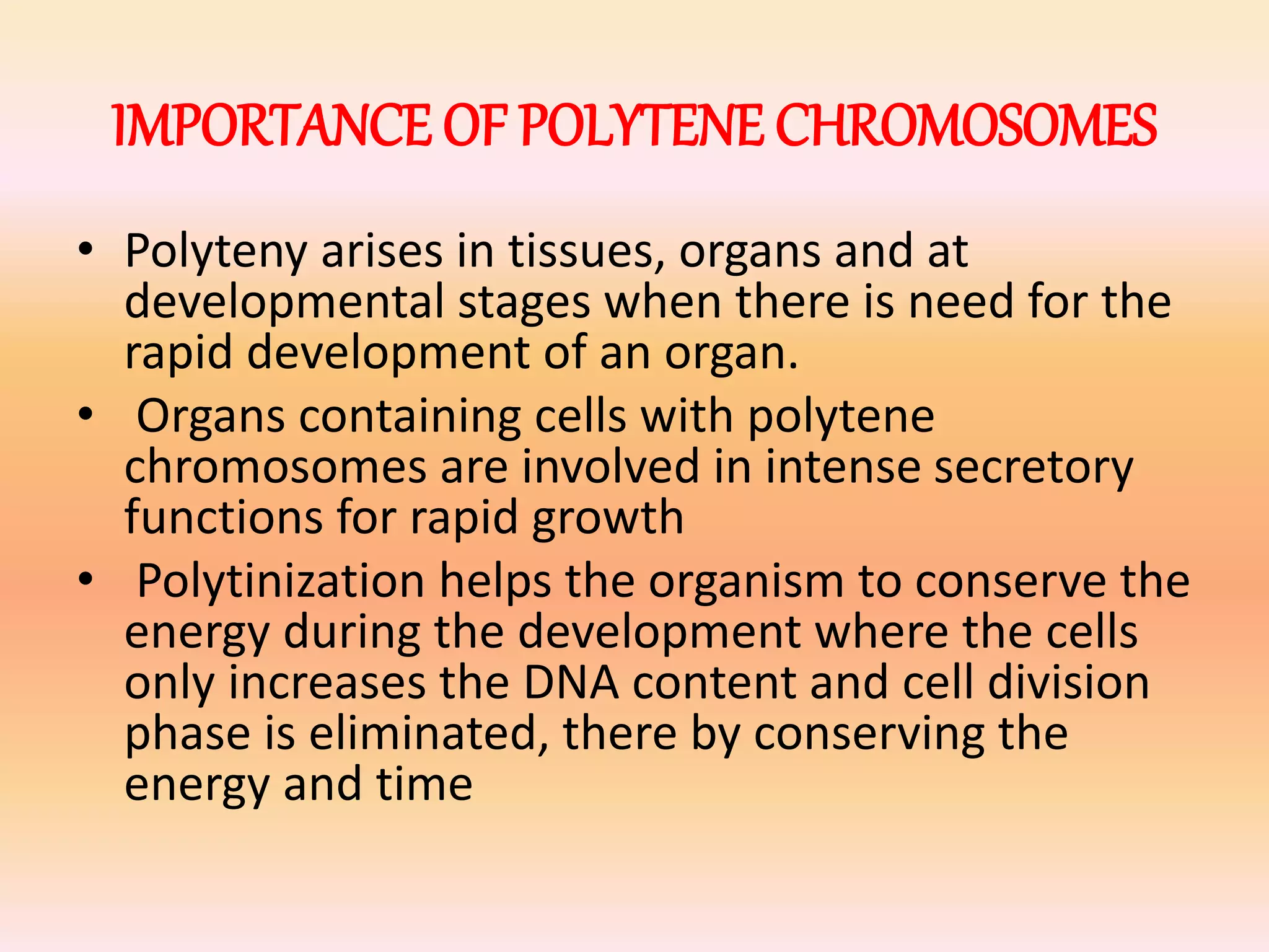 Polytene Chromosomes Ppt