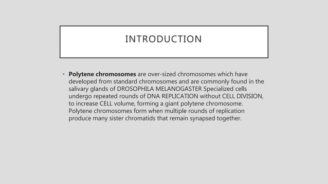 Lab Study of Polytene Chromosomes. | PPTX | Biological Sciences | Science