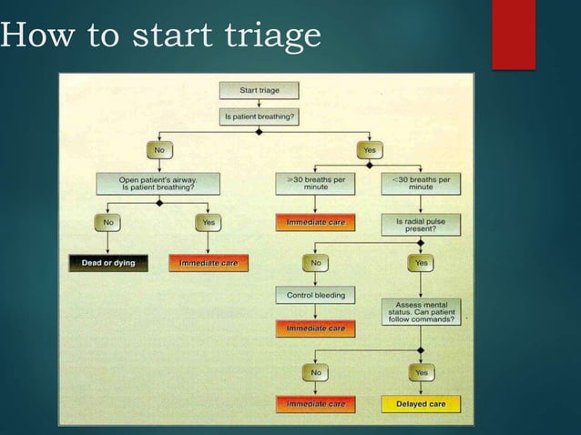 Polytrauma | PPTX | First Aid | Injuries