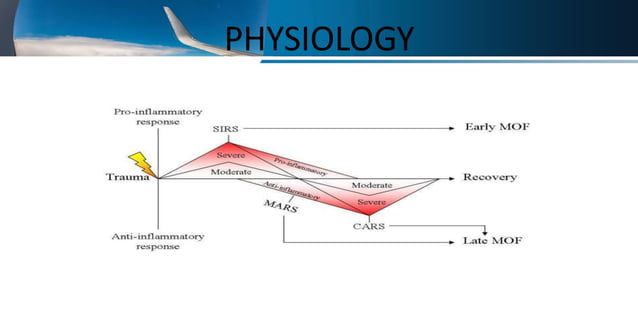 Polytrauma ETC vs DCO | PDF