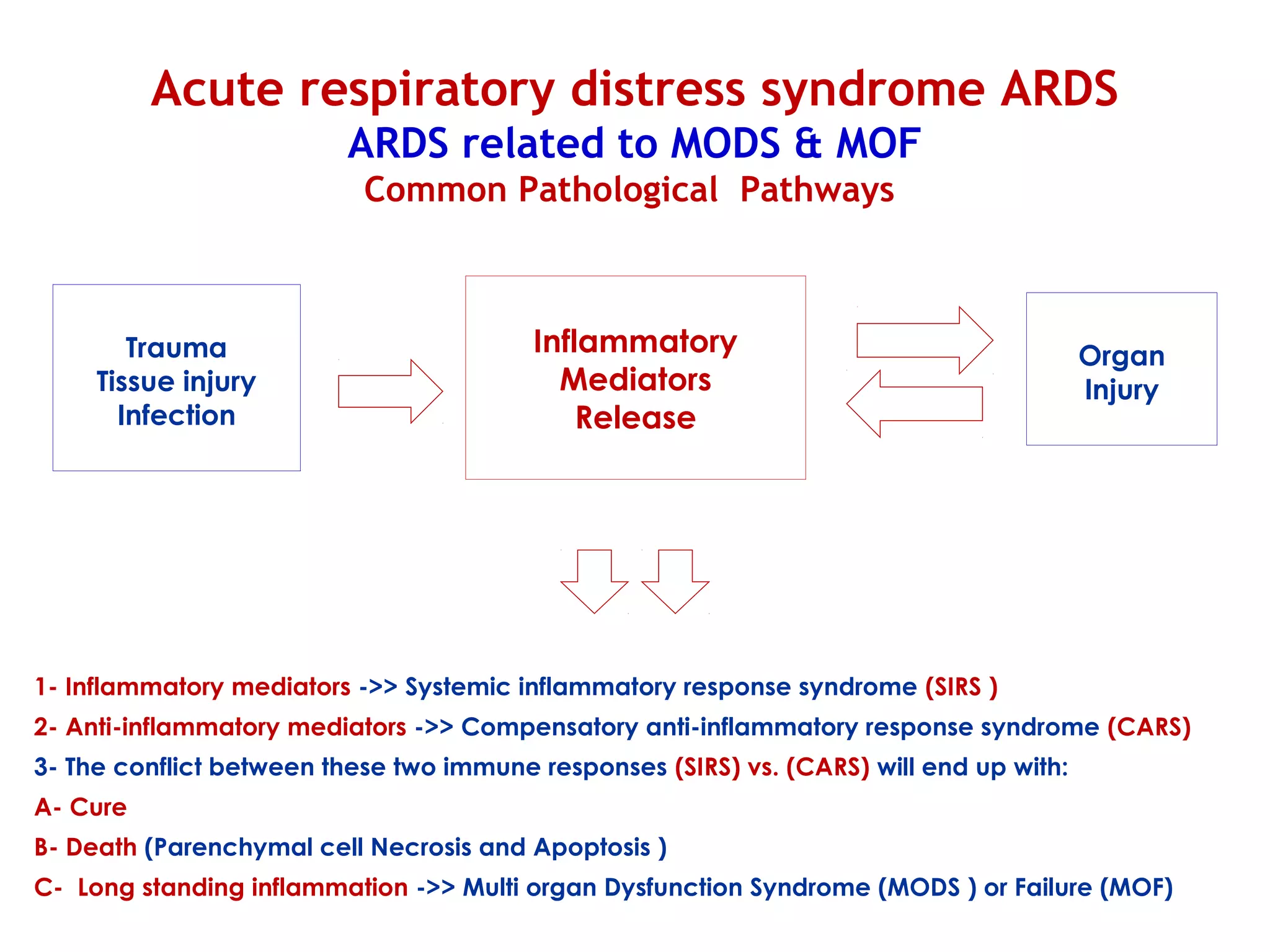 Polytrauma part 3 (FES) | PPT | Lung and Respiratory Health | Diseases ...