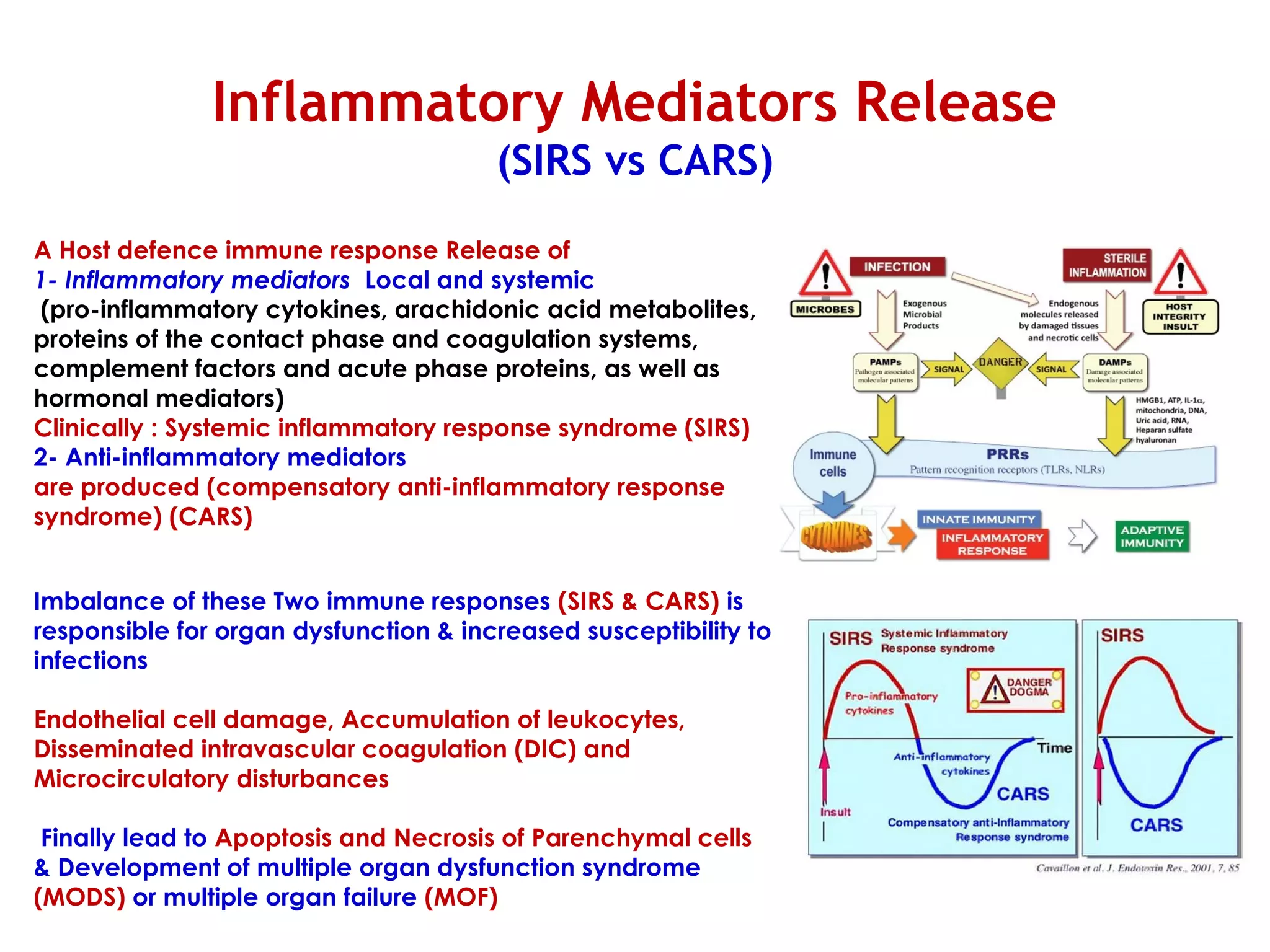Polytrauma part 3 (FES) | PPT | Lung and Respiratory Health | Diseases ...