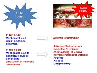 Polytrauma part 3 (FES) | PPT | Lung and Respiratory Health | Diseases ...