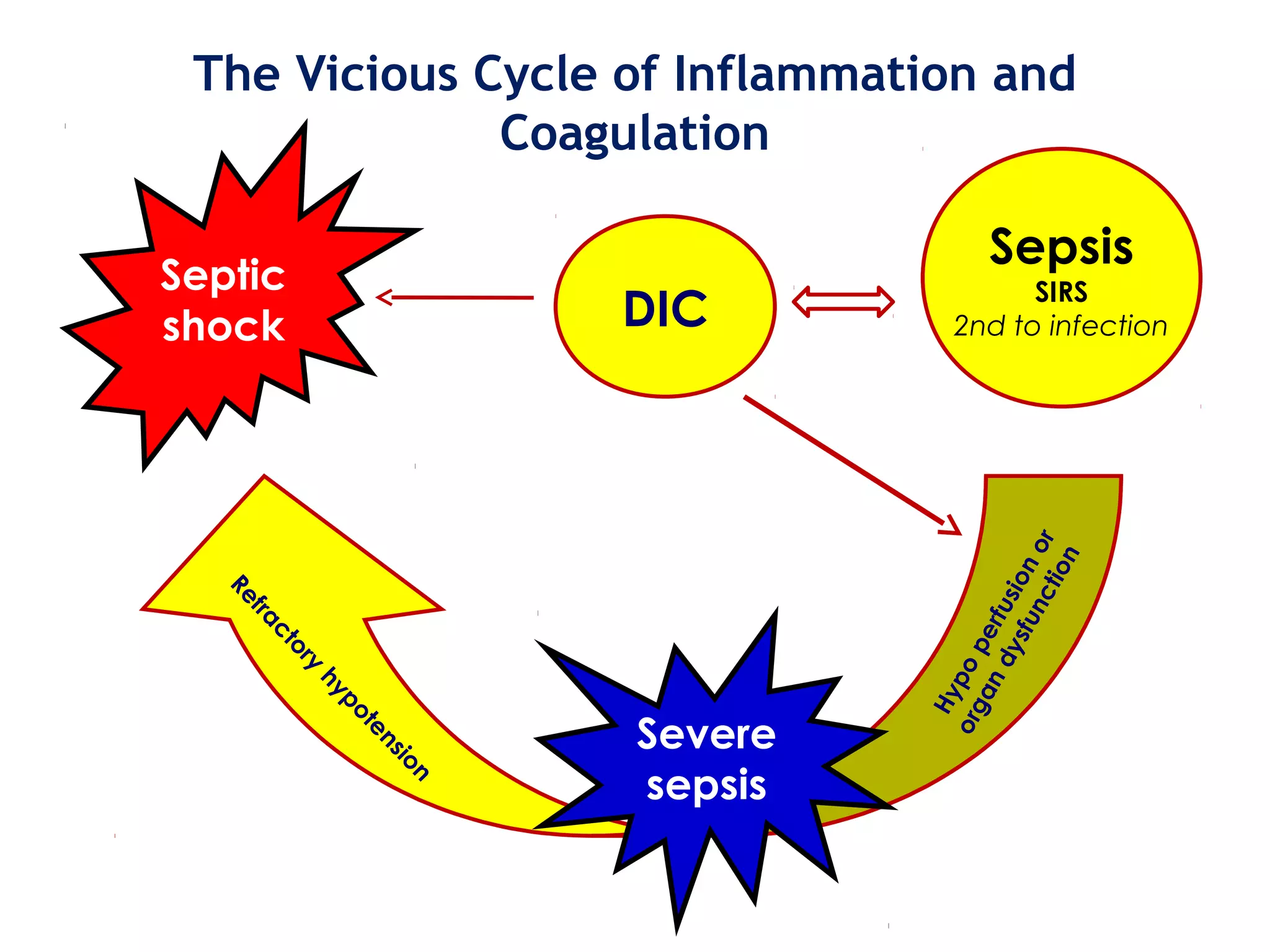 Polytrauma part 4 (SEPSIS) | PPT