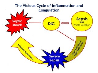 Polytrauma part 4 (SEPSIS) | PPT