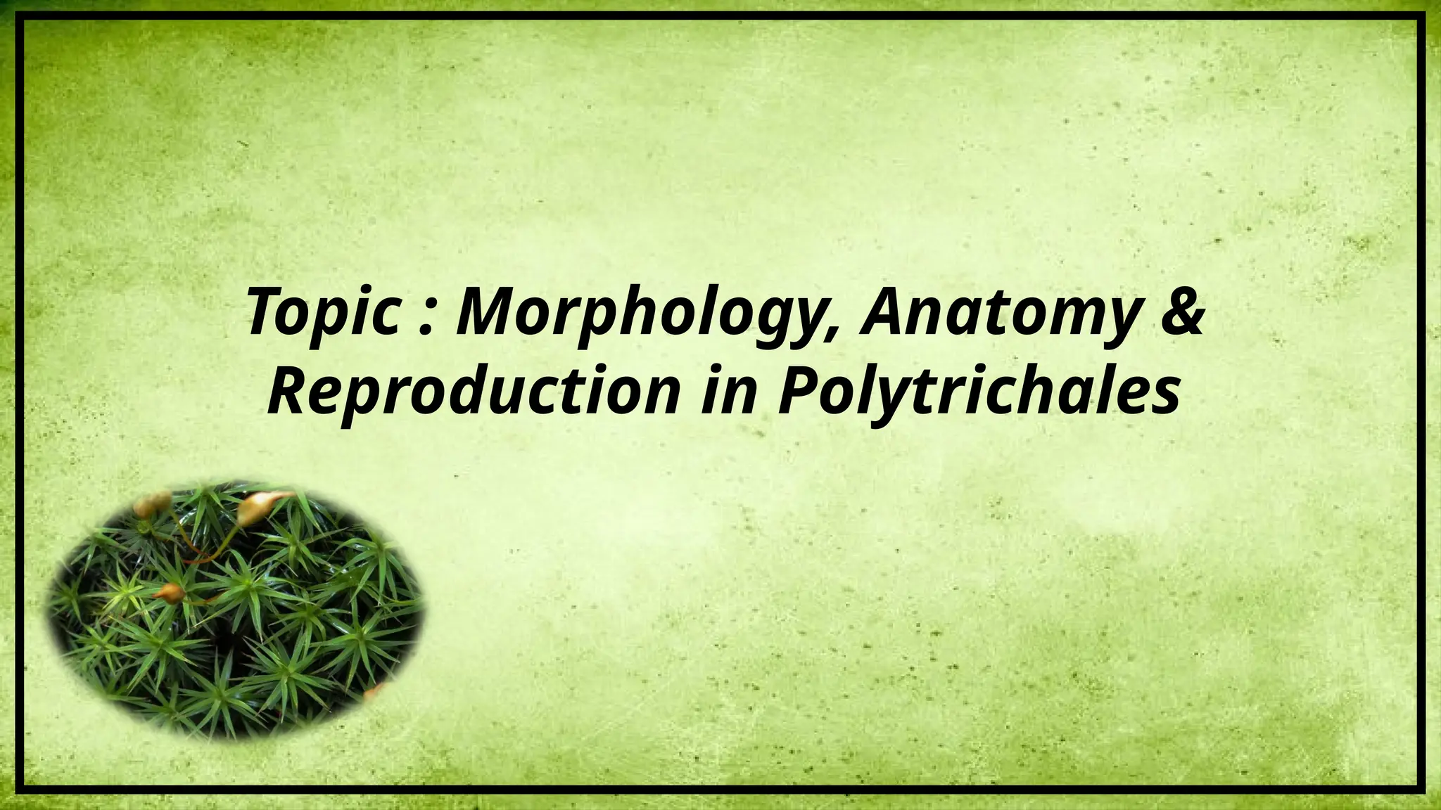 Morphology, Anatomy & Reproduction in Polytrichales | PPTX