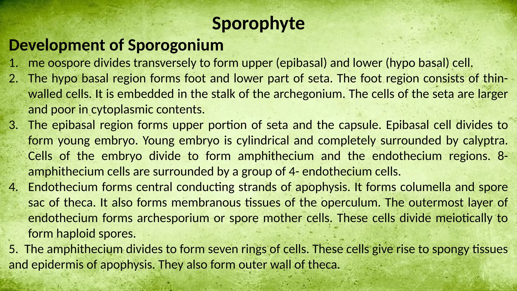 Morphology, Anatomy & Reproduction in Polytrichales | PPTX