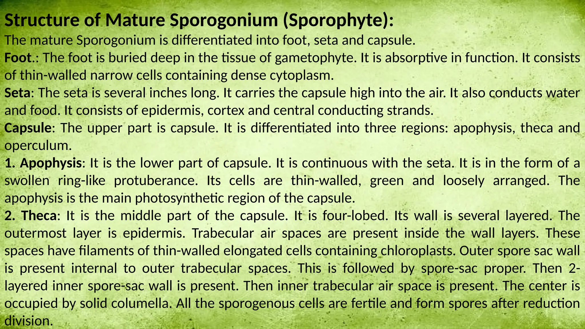 Morphology, Anatomy & Reproduction in Polytrichales | PPTX