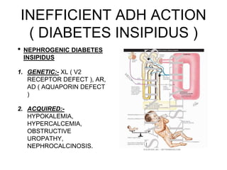 Polyuria approach | PPTX