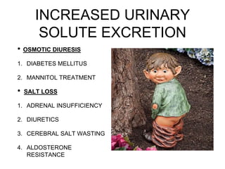 Polyuria approach | PPTX