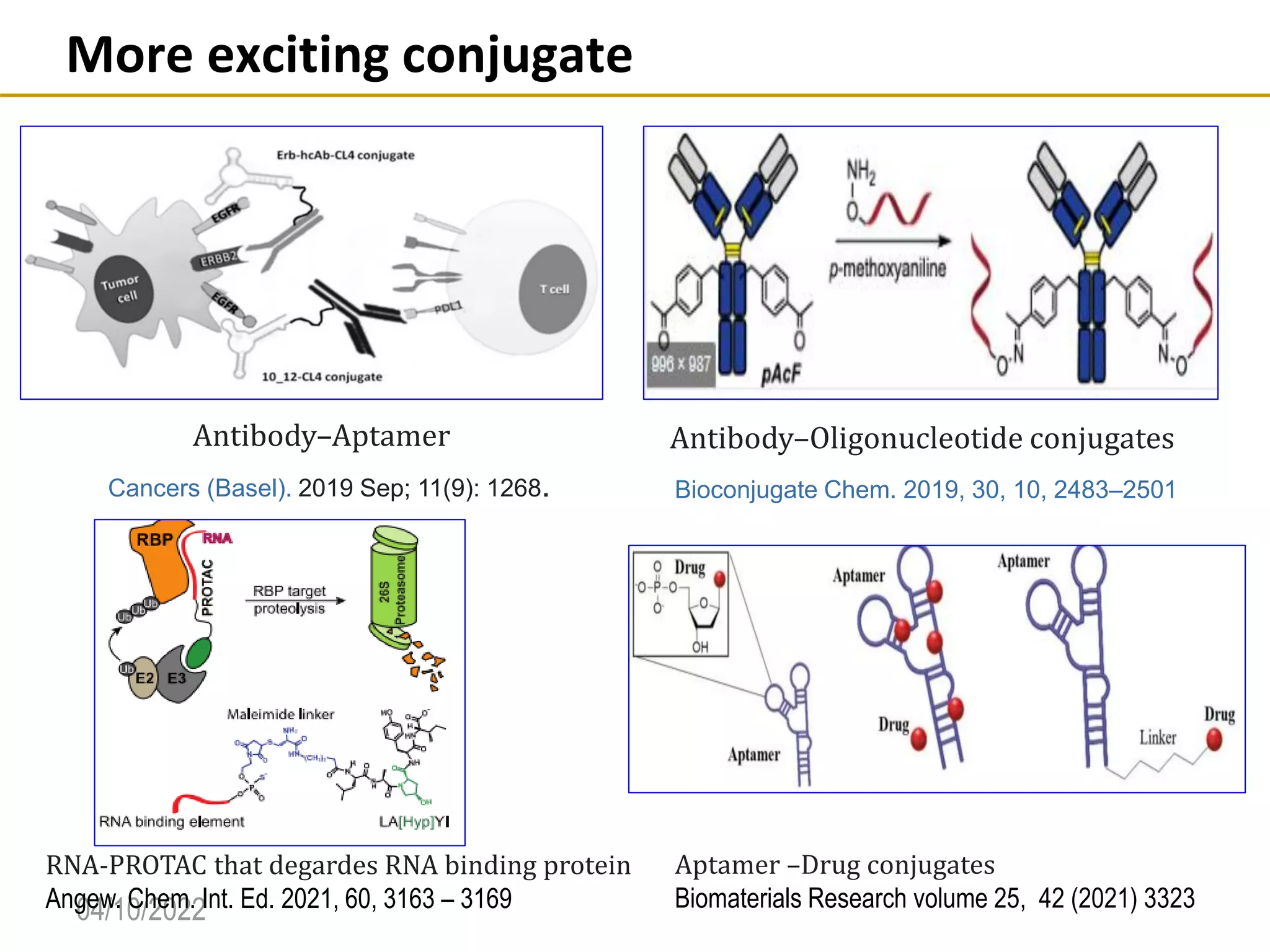 Bivalent or Polyvalent molecules | PDF