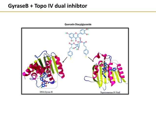 Bivalent or Polyvalent molecules | PDF | Chemistry | Science