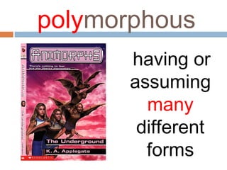Poly vocabulary words | PPT