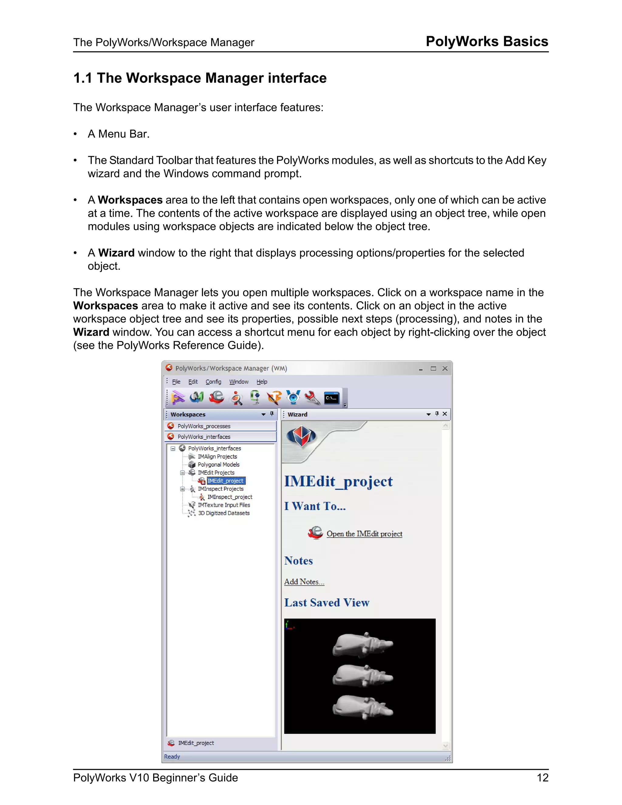 Polyworks beginners guide | PDF
