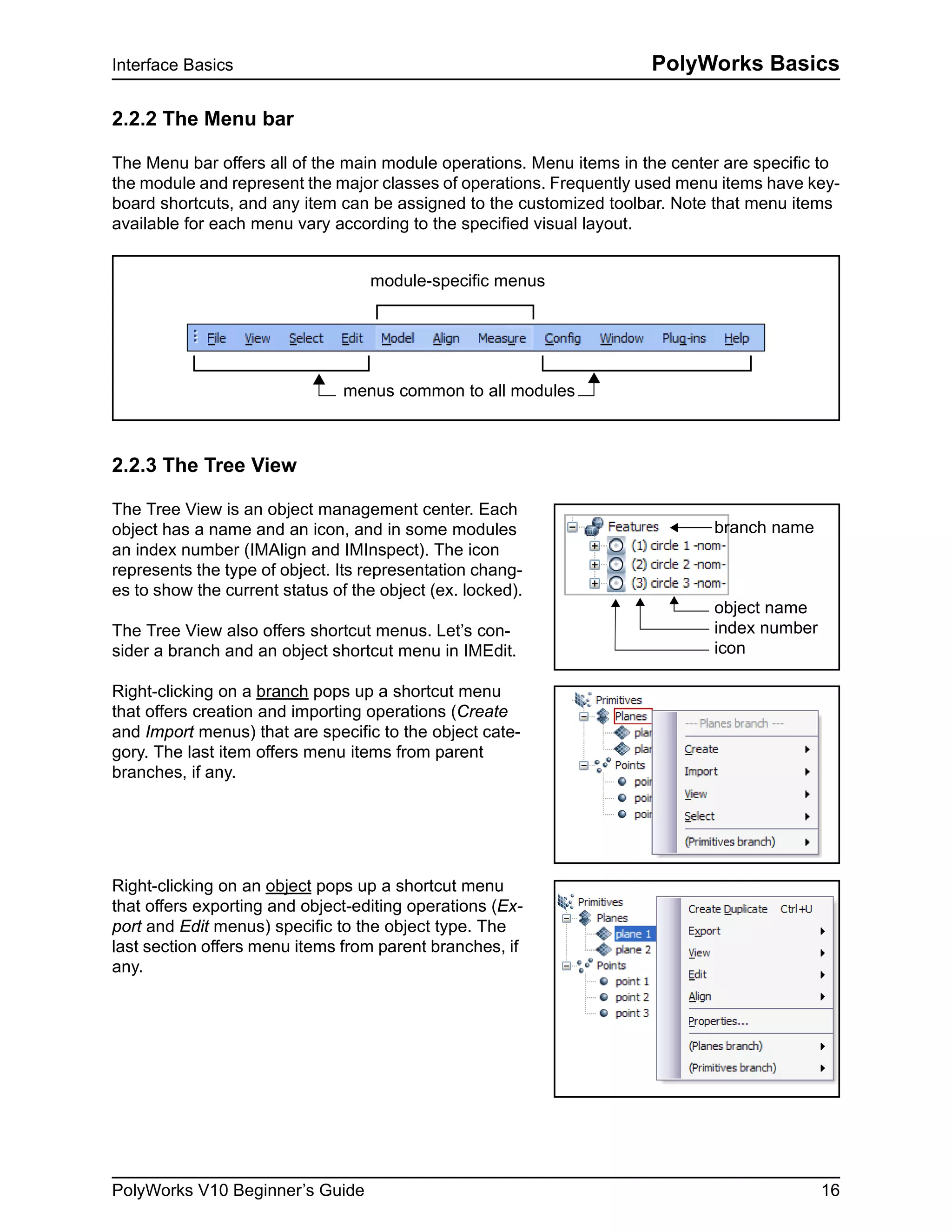 Polyworks beginners guide | PDF