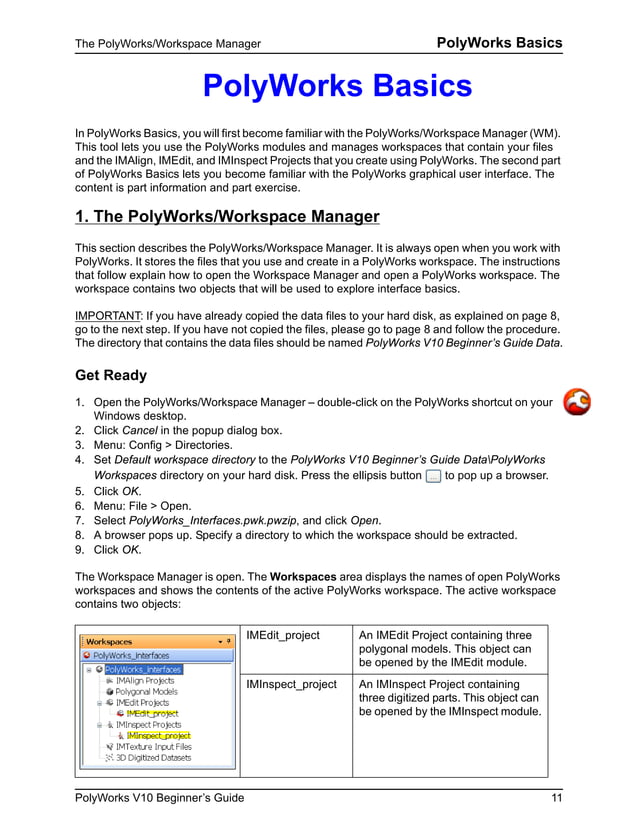 Polyworks beginners guide | PDF