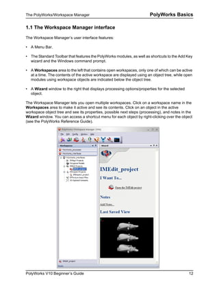 Polyworks beginners guide | PDF