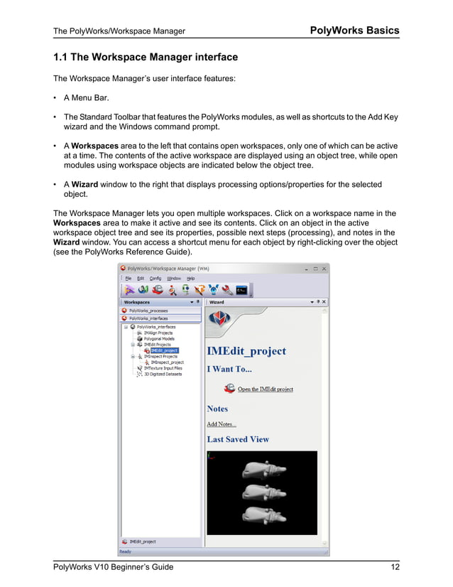 Polyworks beginners guide | PDF