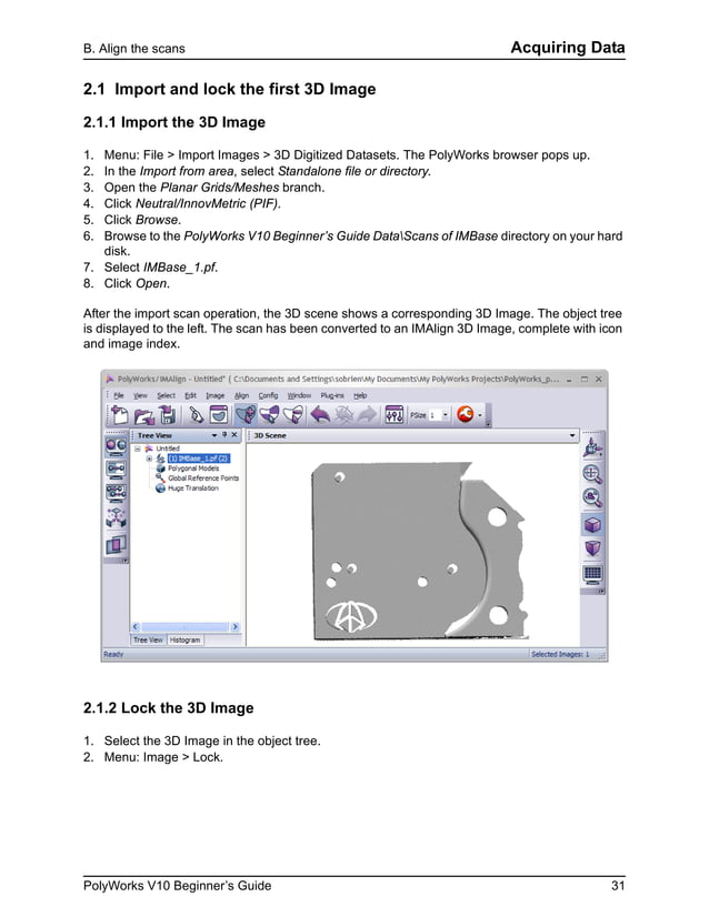 Polyworks beginners guide | PDF