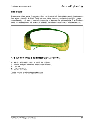 Polyworks beginners guide | PDF