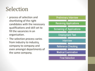 Principles of Management 2 | PPT