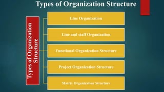 Organizational Structure | PPTX