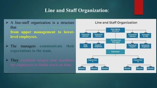 Organizational Structure | PPTX