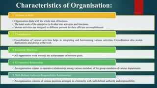Organizational Structure | PPTX