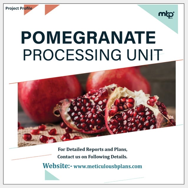 Pomegranate Processing Unit | PDF