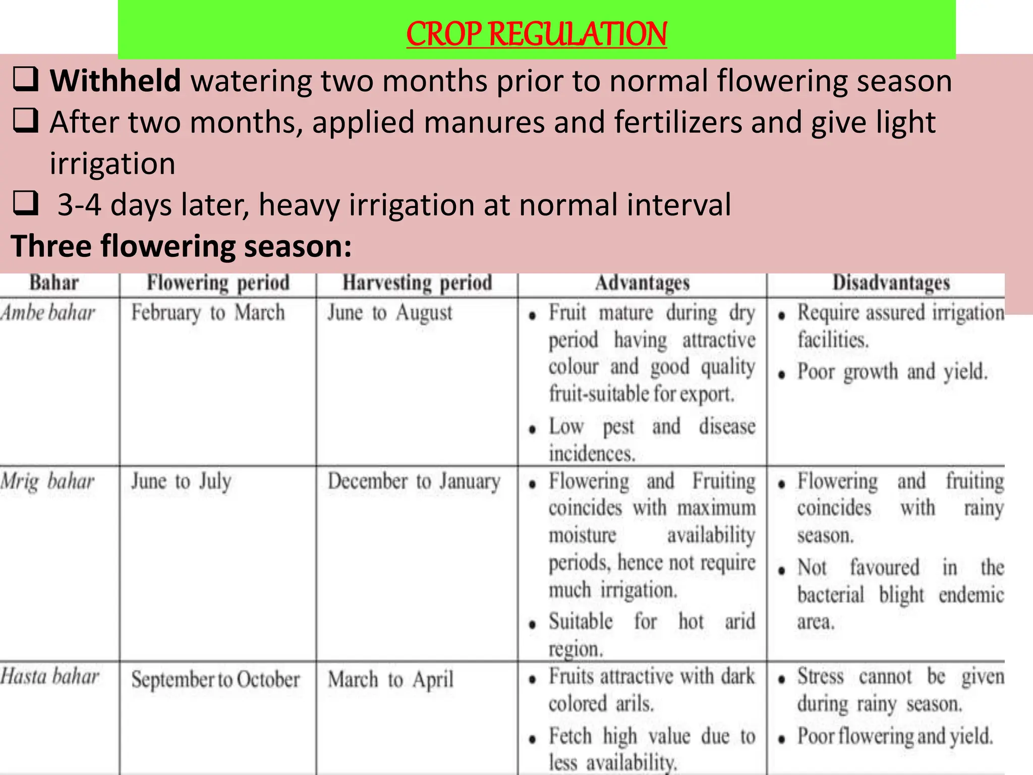 Botany, floral biology and physiological disorders Pomegranate.pptx