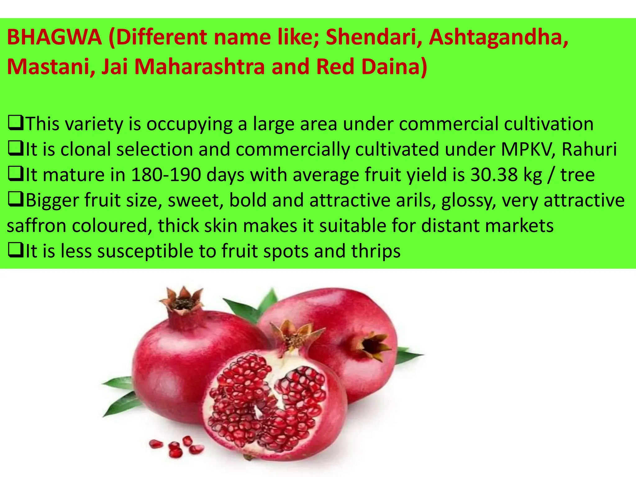 Botany, floral biology and physiological disorders Pomegranate.pptx