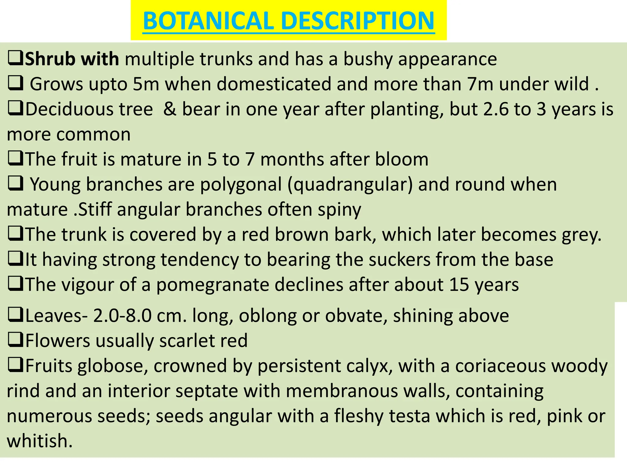 Botany, floral biology and physiological disorders Pomegranate.pptx