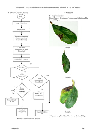 Pomegranate fuzzy | PDF