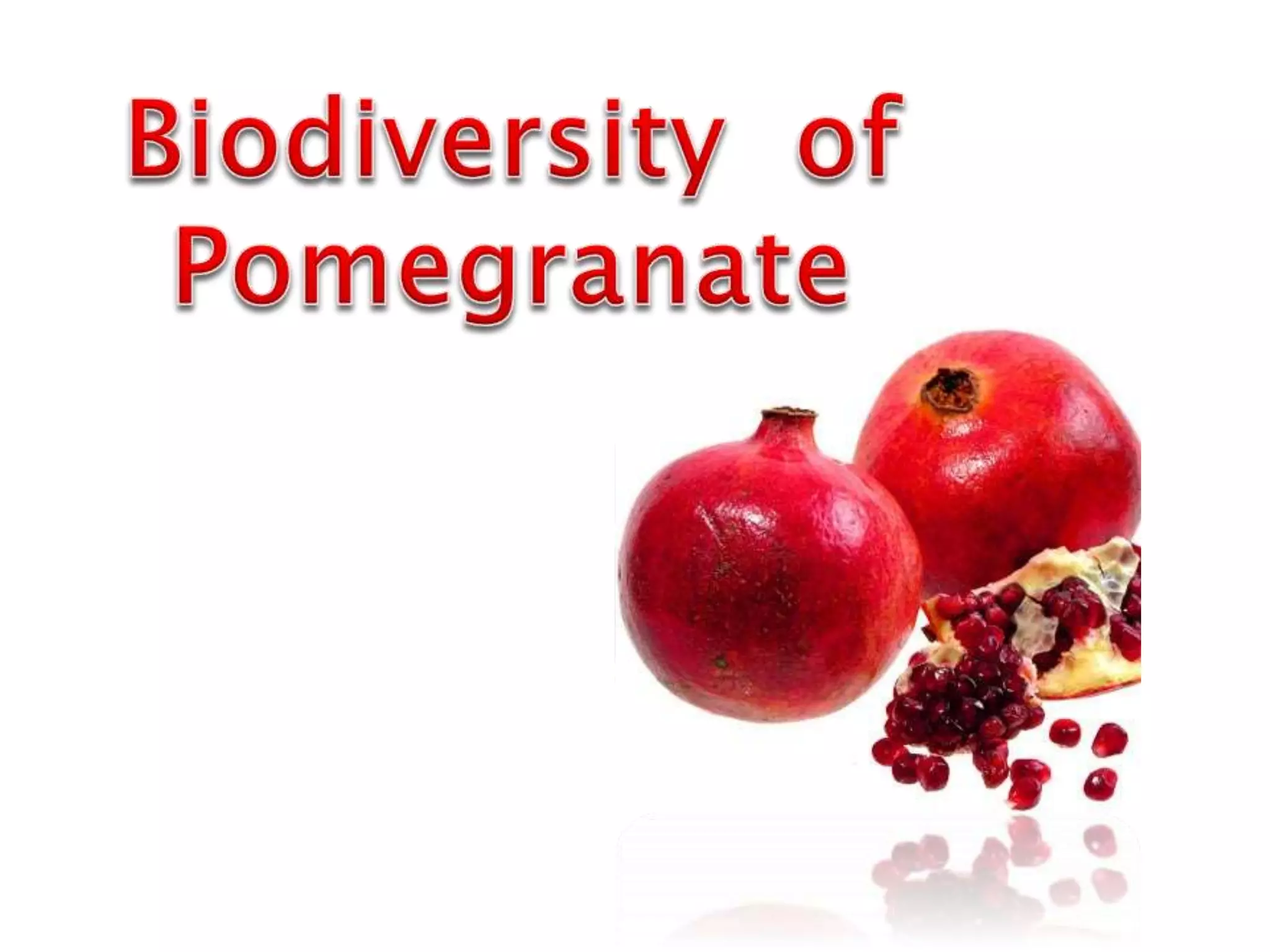 Pomegranate biodiversity | PPTX