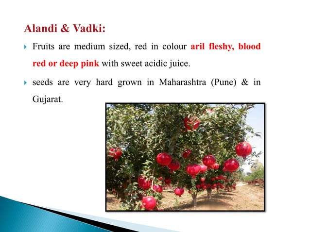 Pomegranate biodiversity | PPTX | Food & Drink
