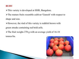 Pomegranate biodiversity | PPTX