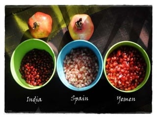 Pomegranate biodiversity | PPTX