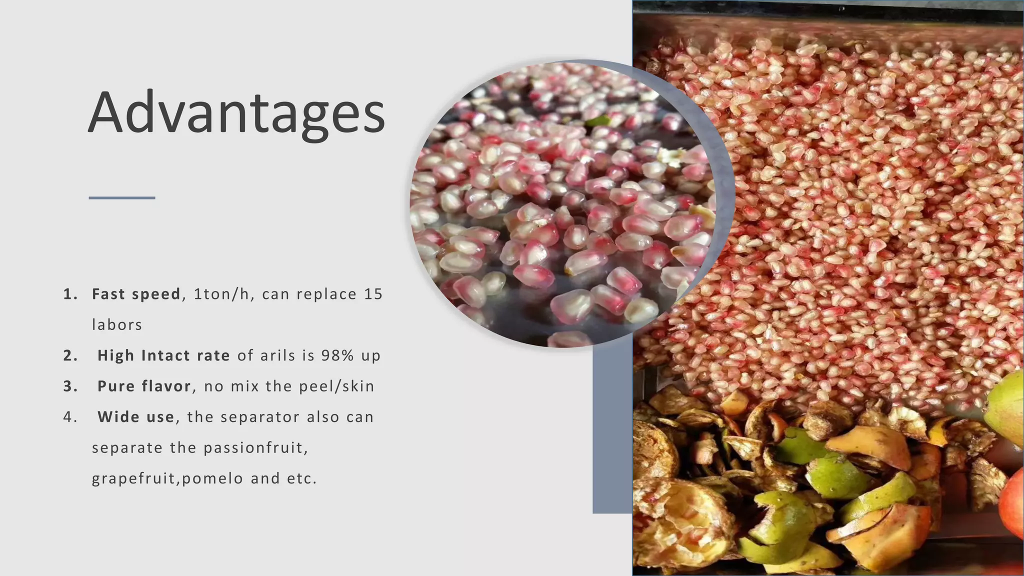 Pomegranate passionfruit prickly pear pulp separator from bway | PPT