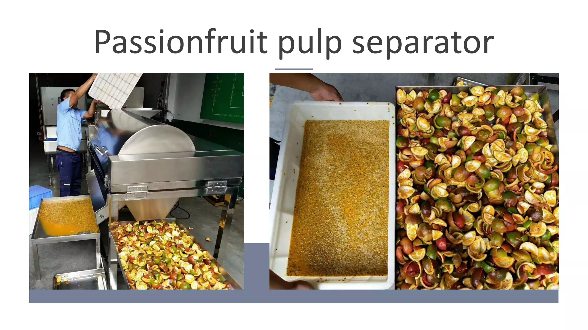 Pomegranate passionfruit prickly pear pulp separator from bway | PPT