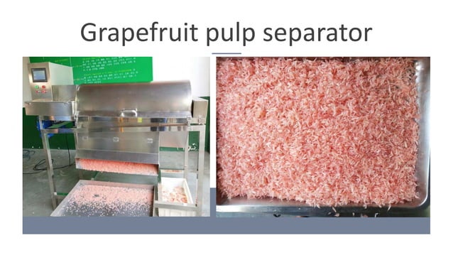 Pomegranate passionfruit prickly pear pulp separator from bway | PPT